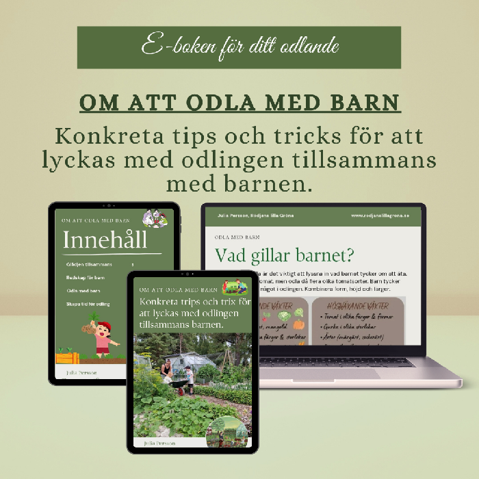 Odla med barn :: rodjanslillagrona